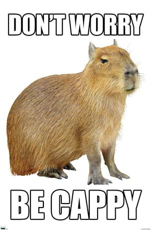 Capybara - Be Cappy Wall Poster, 22.375" x 34" - Walmart.ca