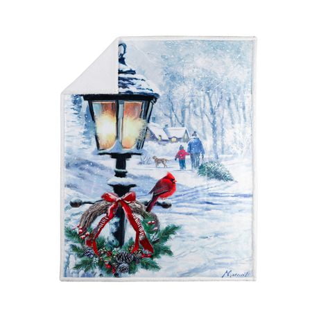 Click here for Safdie & Co. Throw Printed Christmas Lantern Multi... prices