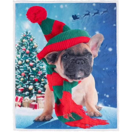 Click here for Safdie & Co. Throw Xmas Sherpa Reversible Elf Pupp... prices