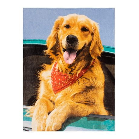 Click here for Safdie & Co. Throw Knitted Printed Scarf Lab Multi... prices