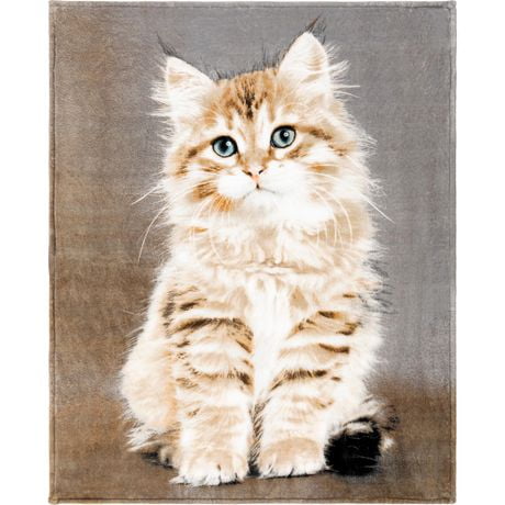 Click here for Safdie & Co. Throw Printed Flannel Fluffy Kitten M... prices