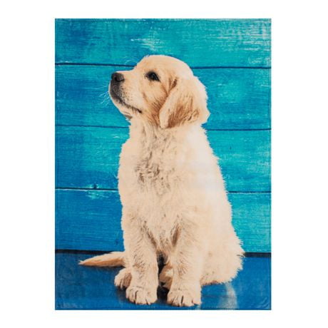 Click here for Safdie & Co. Throw Knitted Printed Lab Puppy Multi... prices