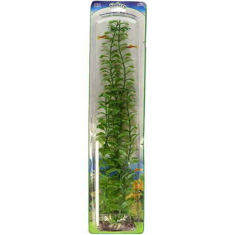 Click here for Penn-Plax Penn Plax Sinker Plant Bloomiing Ludwigi... prices