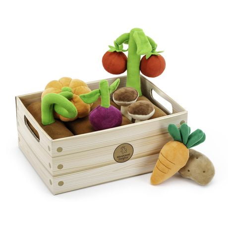 Click here for Educational Insights - Vegetable Garden Various prices