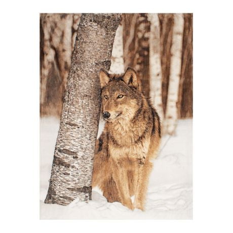 Click here for Safdie & Co. Throw Knitted Printed Forest Wolf Mul... prices