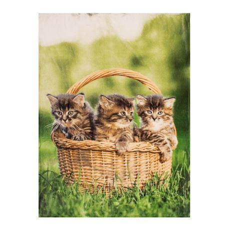Click here for Safdie & Co. Throw Knitted Printed Basket Of Kitte... prices