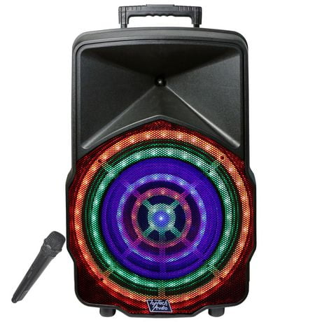 Top Tech Audio Fully Amplified Portable 3000 Watts Peak Power 15 ...