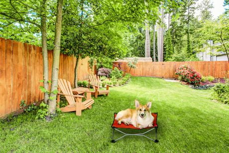 Click here for Carlson Pet Products Secure And Compact Double Doo... prices