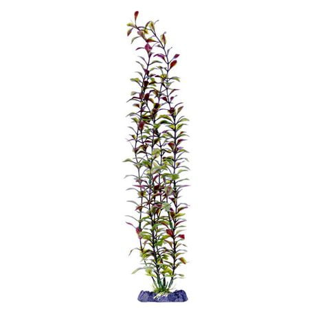 Click here for Penn-Plax Penn Plax Sinker Plant Blooming Ludwigia... prices