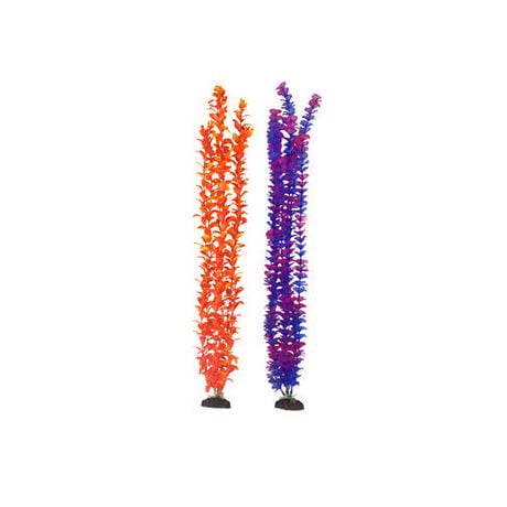 Click here for Penn-Plax Penn Plax Aqua Plants Extra Large Assort... prices