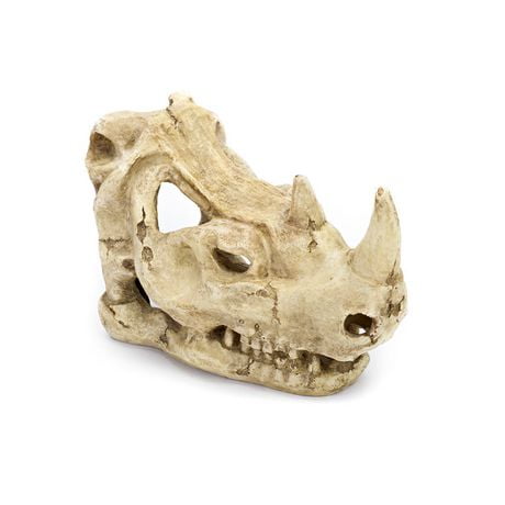 Click here for Penn-Plax Penn Plax Rhino Skull Resin Ornament Lig... prices