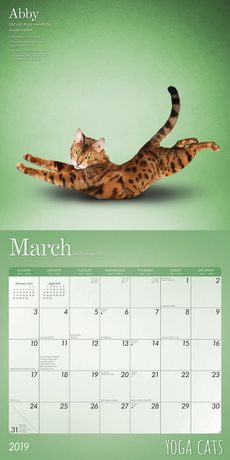 2019 Yoga Cats Calendar | Walmart Canada