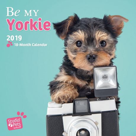 2019 MYR Be My Yorkie Calendar | Walmart Canada