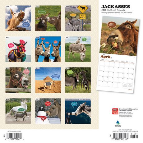 2019 Jackasses Calendar | Walmart Canada