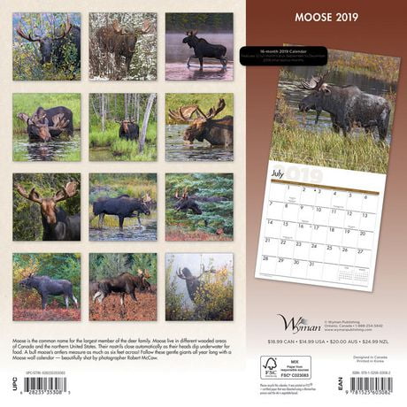 2019 Moose Calendar | Walmart Canada