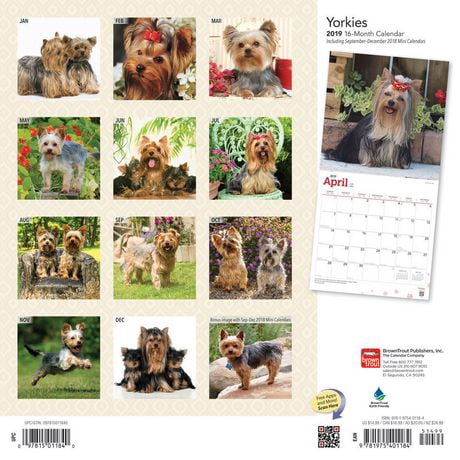 2019 Yorkshire Terriers Calendar | Walmart Canada