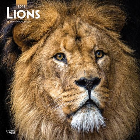 2019 Lions Calendar | Walmart Canada