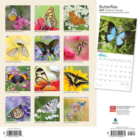 2019 Butterflies Calendar | Walmart Canada