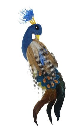 Click here for Pet Zone Pretty Peacock Cat Toy prices