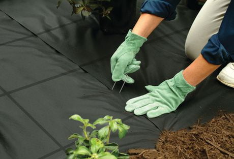 Dalen Products Weed Shield 3'x50' | Walmart Canada