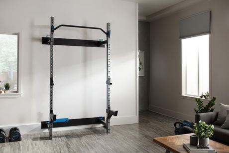 Click here for Proform Carbon Strenght Foldable Wall Rack prices