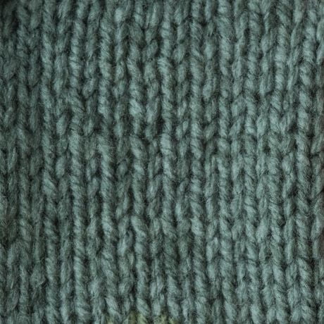 BERNAT POP! YARN (140G/5OZ), RADICAL BOTANICAL | Walmart Canada