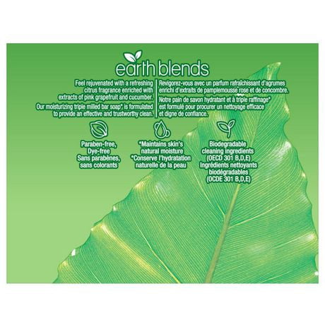 Softsoap Earth Blends bar Soap, Pink Grapefruit & Cucumber | Walmart Canada