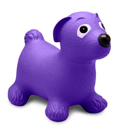 Click here for Hedstrom Purple Dog Bouncer prices