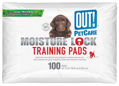 OUT! Moisture Lock Traning Pads 100ct Pad Pack | Walmart Canada