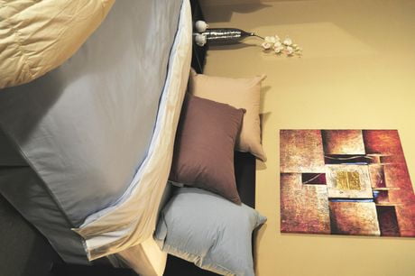 Click here for Royal Elite Coloured Feather Pillow Stone Queen prices
