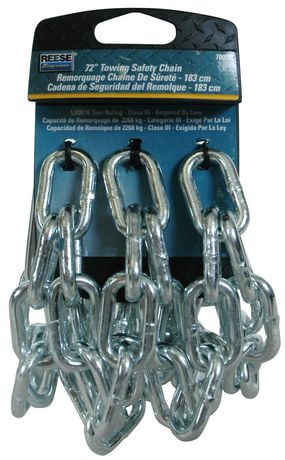 Reese Towpower® Towing Safety Chains - Walmart.ca