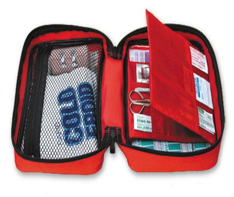 SAFETO GO Deluxe Auto First Aid Kit - Walmart.ca