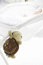Cloud B Baby Rattles Turtle Plush Toy | Walmart Canada
