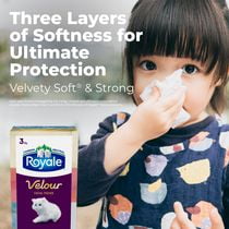 Royale Velour 3 ply Facial Tissues, 18 Tissue Boxes 88 Tissues per Box ...