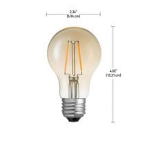 60W Equivalent Soft White (2200K) Vintage Edison Dimmable LED Light ...