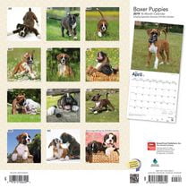 2019 Boxer Puppies Calendar | Walmart Canada