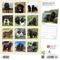 2019 Newfoundlands Calendar | Walmart Canada